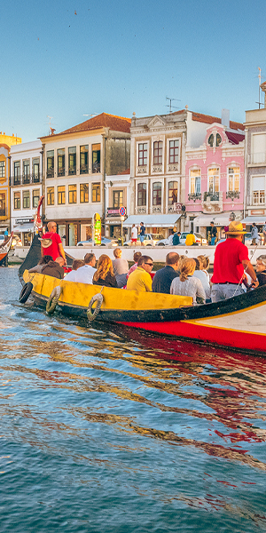 What is a DMC and what does it do? - Living DMC